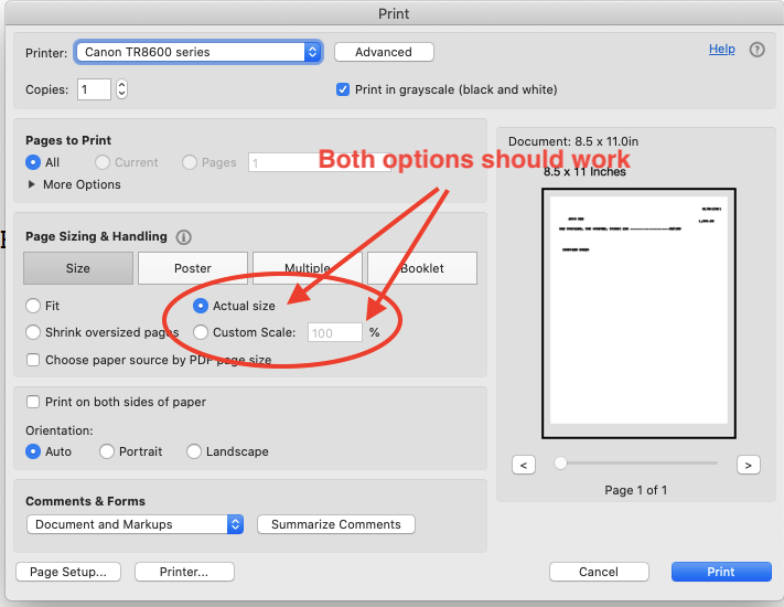 How Can I Print Checks 